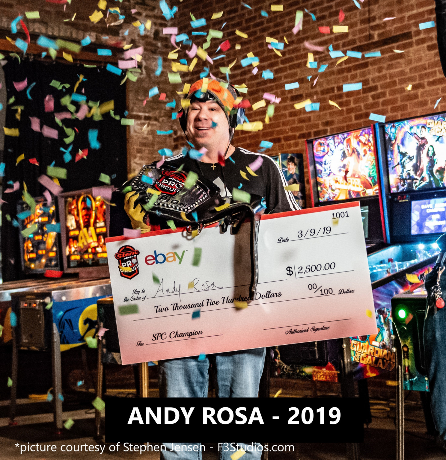 Hall of Fame - Stern Pinball