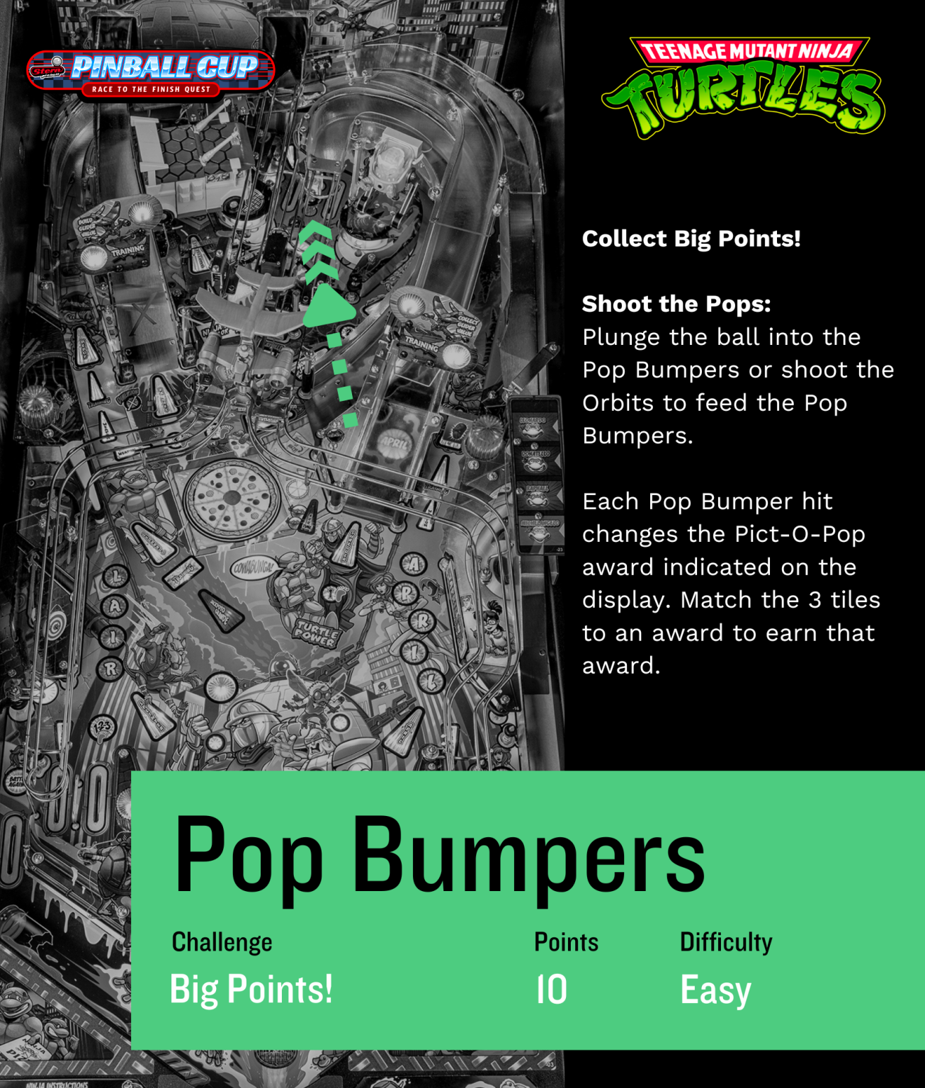 TMNT Race 5 - Stern Pinball